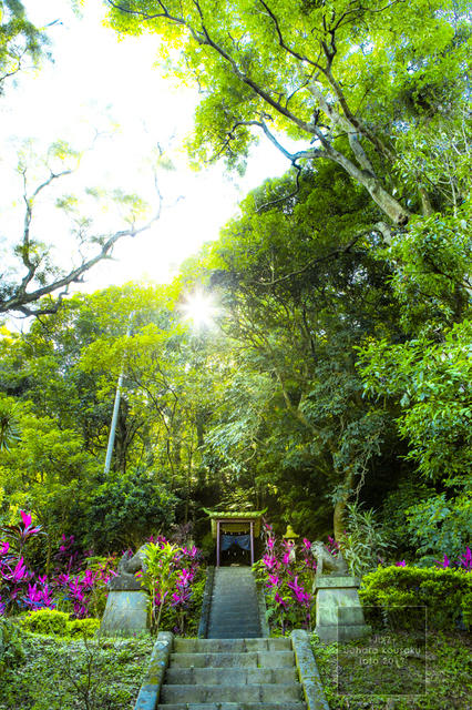 【台北】圓山水神社 その2：台湾人によって今も守り継がれている神社: ☆ 吉星 Good luck star